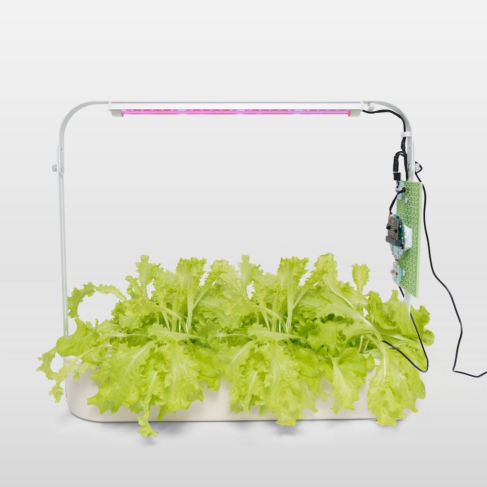 Smart Hydroponics Kit with micro:bit – STEM Classroom Project – Forward ...